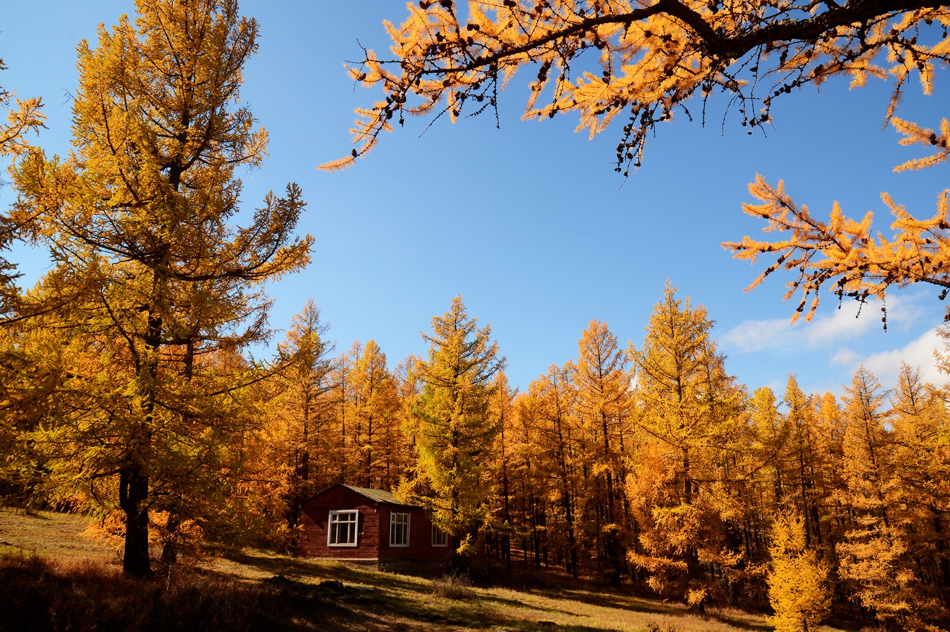 SARI’L DÜNYAYA - Emre OZAN - Edebiyat-Kültür-Sanat Dergisi